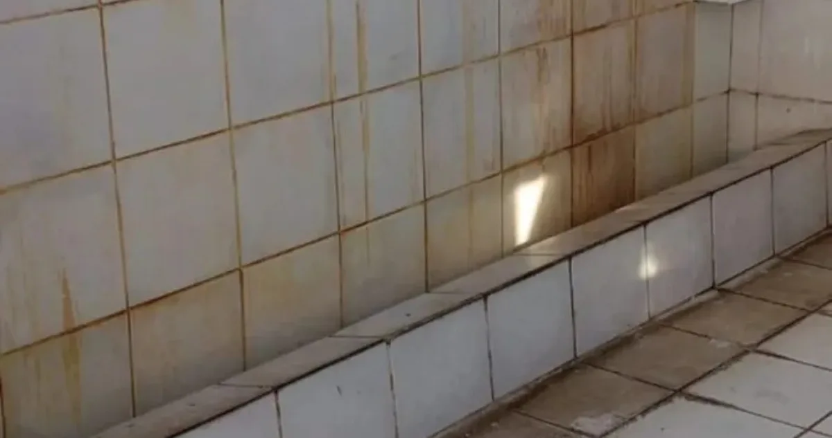 Colegio Víctor Domingo Silva bajo crisis sanitaria en La Serena - El ...