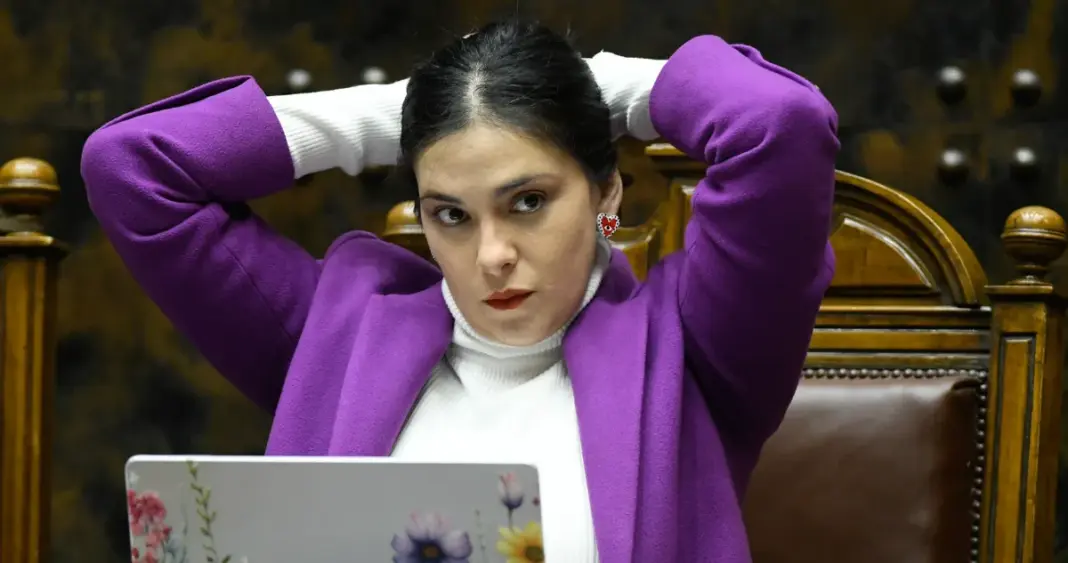 “Me violenta”: Karol Cariola exige fin a mentiras sobre secreto ...